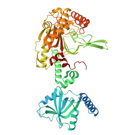 Rcsb Pdb 6chd Crystal Structure Of Human Lysyl Trna Synthetase Complexed With L