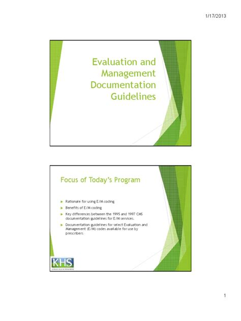 2013 Psychiatry E M Coding Guide Pdf Mania Psychotherapy