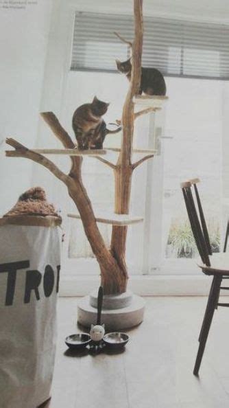 The Perfect Cat Playground Design Ideas