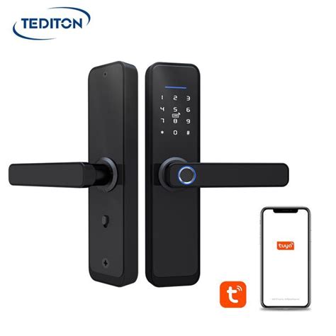 Tuya Wifi App Smart Door Lock Biometric Lock Fingerprint Door Handle