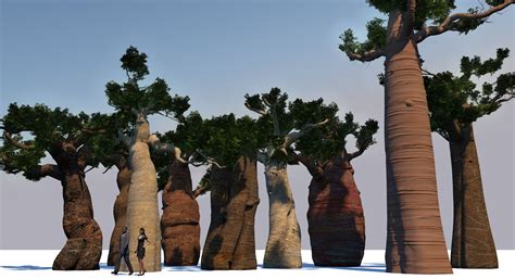 Baobab Tree 01 3d Model 39 Max Fbx Free3d