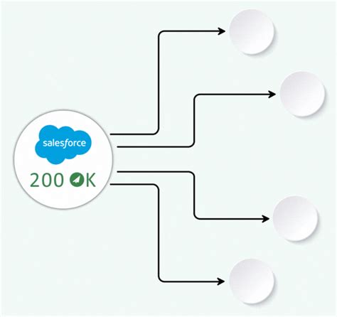 200 Ok The Native No Code Salesforce Integration Platform