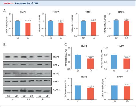 Figure 1 From Progressive Aortic Dilation Is Regulated By Mir 17 Associated Mirnas Semantic