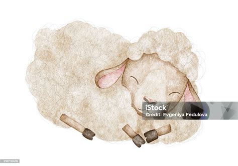 베이지색 양 귀여운 푹신푹신 양고기가 자고있다 고립 된 손으로 그린 아기 수채화 그림 아동 용품 초대장 엽서 포스터 베이비 샤워 및 어린이 방의 클립아트 0명에 대한 스톡