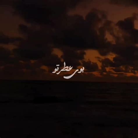 تو مرا جان و جهانی فیلم ویسگون