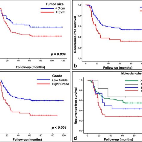 Parameters Related To Progression Free Survival In Nmibc Patients