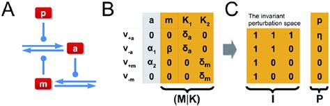 A Simple Example Of Global Concentration Robustness A The Output