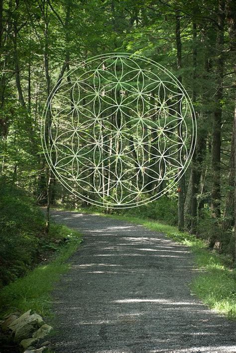 Sacred Geometry And Nature Sacred Geometry Art Sacred Geometry Flower