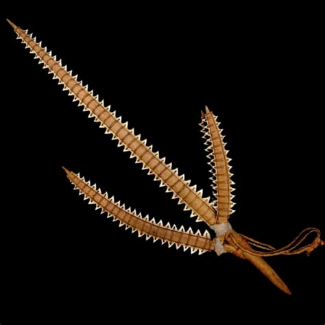 A Recipe For Weaponry How To Make A Shark Tooth Sword Fkmaddison