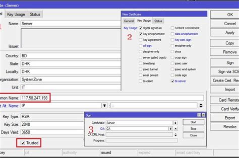 Mikrotik Sstp Vpn Server Configuration With Windows 10 System Zone