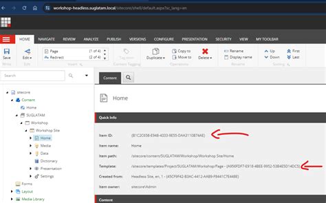 Implementing Next Js Application With Sitecore SXA Headless Ramiro S