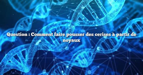 Question Comment faire pousser des cerises à partir de noyaux