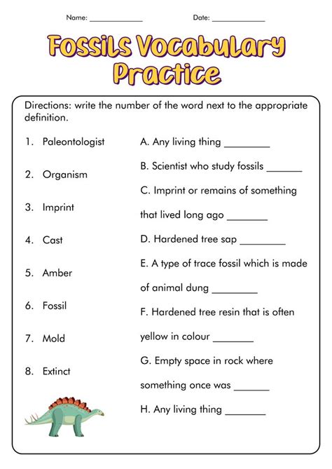 11 Fossils Activities Worksheets Fossils Activities Fossils Lesson