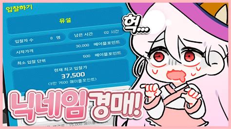 메이플 닉네임 경매가 열렸다 이쁜 닉네임 과연 내가 먹을 수 있을까 Youtube
