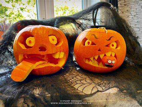 Scary Pumpkin Carving Patterns Rose Printable