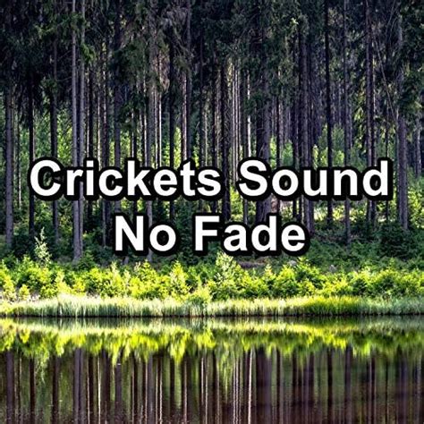 Écouter Crickets Sound No Fade De 4d Nature Recordings Relaxing Music