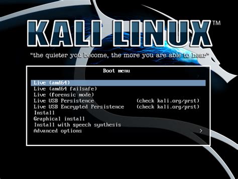 Kali Linux 1 1 0 Penetrationstest