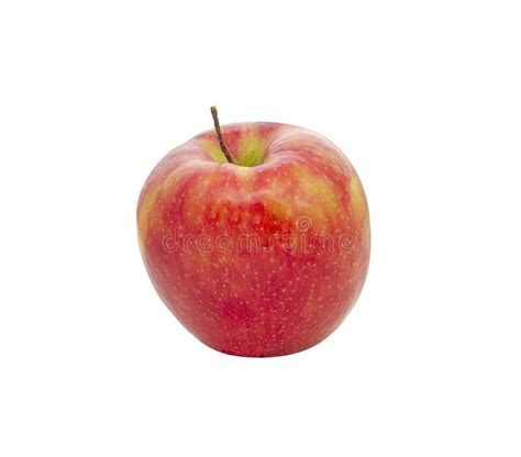 Una Manzana Roja Entera Aislada Imagen De Archivo Imagen De Manzana