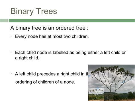 Trees Non Linear Data Structure Ppt
