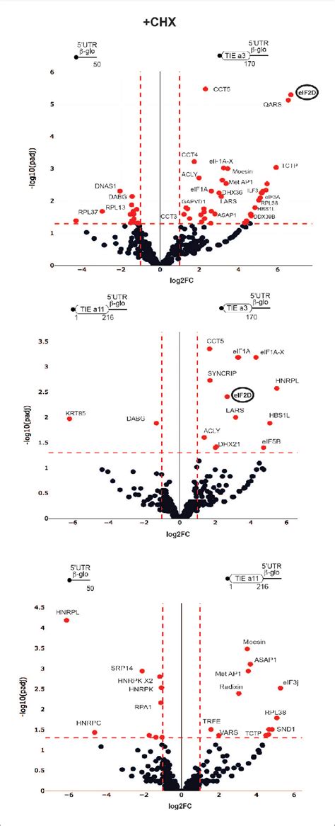 Distinct Profiles For Factors Involved In Translation Inhibitory