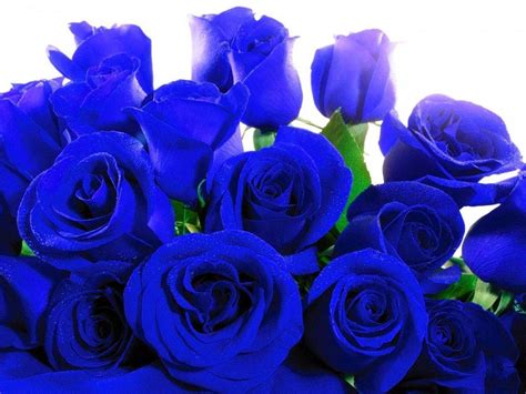 สีสันธรรมชาติกลางหุบเขา ภาพธรรมชาติ