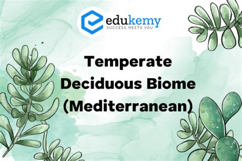 Steppe Or Temperate Grassland Biome