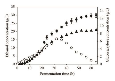 Batch Simultaneous Saccharification And Fermentation Of The Download Scientific Diagram