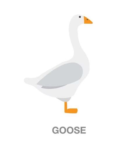 Funny Goose Puns Tell Us Jokes