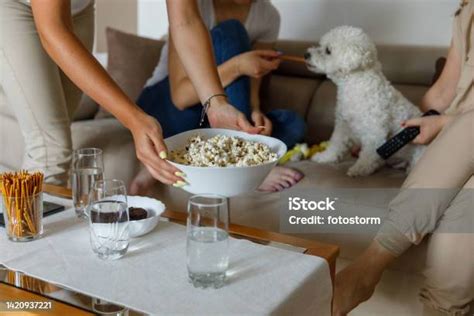 영화 중에 간식을 먹기 위해 커피 테이블에 팝콘 한 그릇을 놓는 여성 20 24세에 대한 스톡 사진 및 기타 이미지 20 24세 45 49세 Tv 보기 Istock