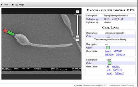 Byte Size Biology