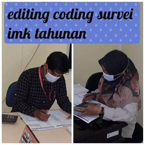 Editing Coding Annual Imk Survey News Bps Statistics Indonesia