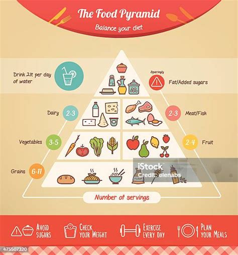 The Food Pyramid向量圖形及更多食物金字塔圖片 食物金字塔 信息圖形 碳水化合物 食品 Istock