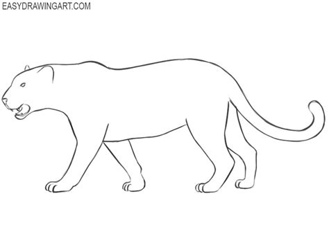 Easy Leopard Drawings