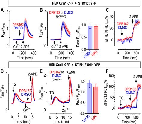 Potent Functional Uncoupling Between Stim And Orai By Dimeric