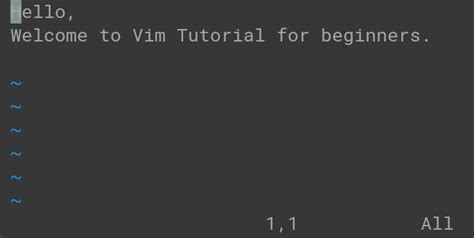 Vim A Quick Beginners Guide Gogosoon