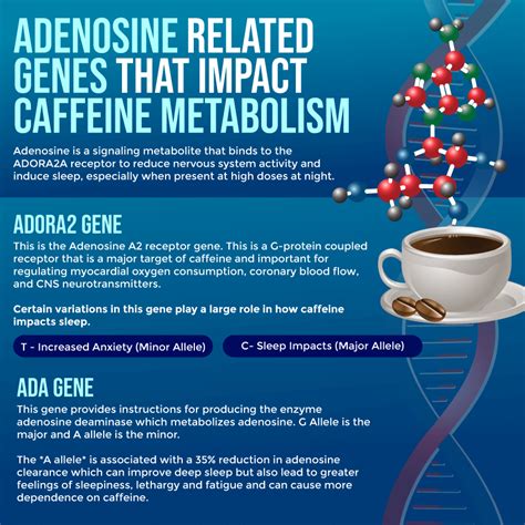 Are You A Slow Caffeine Metabolizer