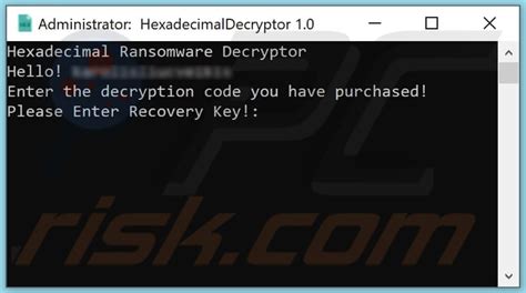 Hexadecimal Ransomware Decryption Removal And Lost Files Recovery