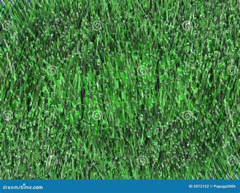 Green Grass 7 Stock Illustration Illustration Of Garden 2073152