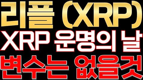 리플 운명의날 불기둥 쏜다 단기간 5000원 돌파 변수는 없을 것 🔥 리플전망 리플코인 Xrp 트럼프 일론머스크