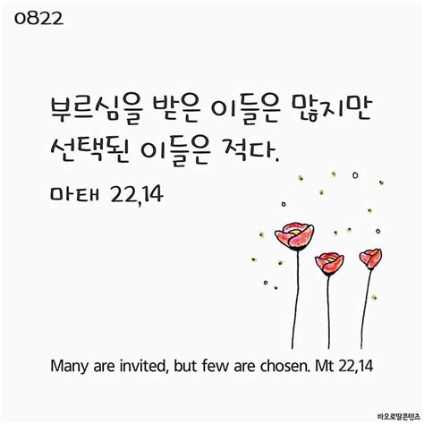 말씀달력 8월 22일 복되신 동정 마리아 모후 기념일 Memorial Of The Facebook