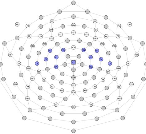 Segmented Eeg Data From 12 Subjects During Left And Right Bicep Flexion