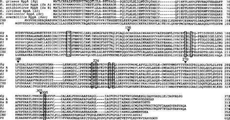 Table 1 From Alteration Of Reaction And Substrate Specificity Of A Bacterial Type Iii Polyketide