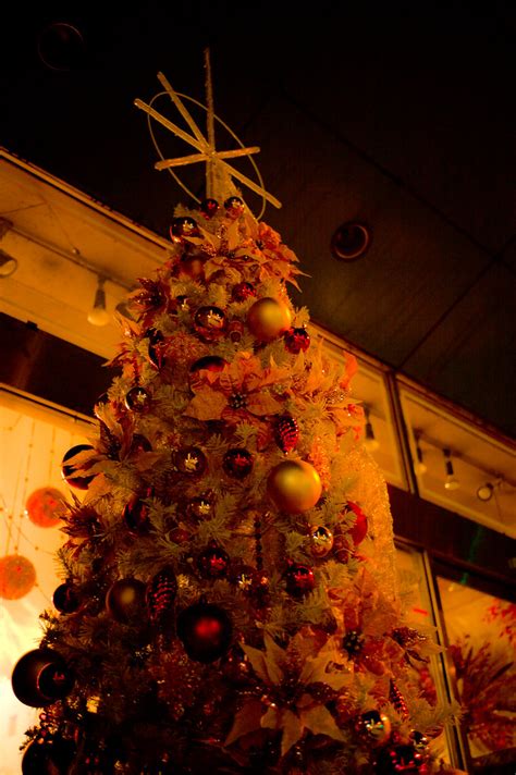 20121009 231520 M9 Digital Camera  Makoto Ito Flickr