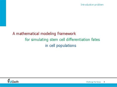 A Mathematical Modeling Framework For Simulating Stem Cell