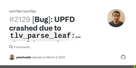 Bug Upfd Crashed Due To `tlvparseleaf Should Not Be Reached