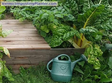 Super Simple Vermicomposting Planter 9 28 17 Red Worm Composting
