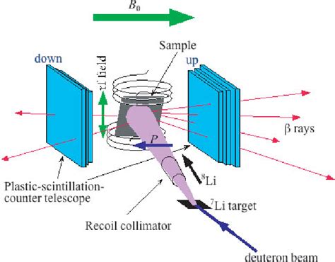 Color Online Schematic Drawing Of The β Nmr Setup At The Van De