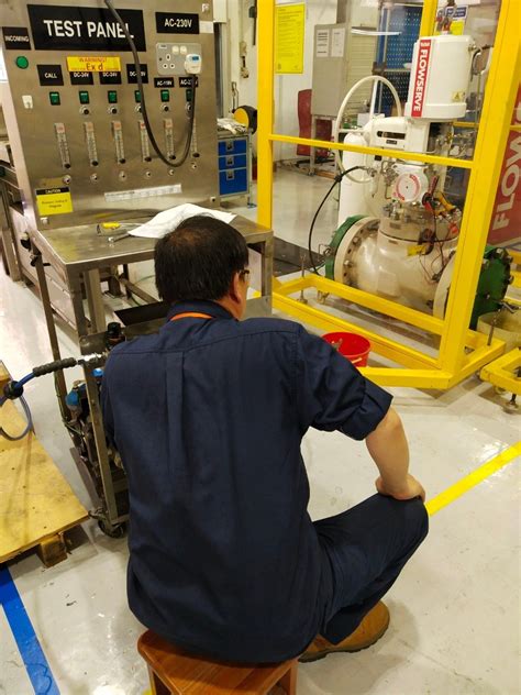 Fmc Had Inspection Test Flowserve Control Valve 12inch At Flowserve