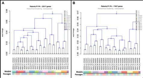 E Gene Expression Study A Hierarchical Clustering Of Paired Patient Download Scientific