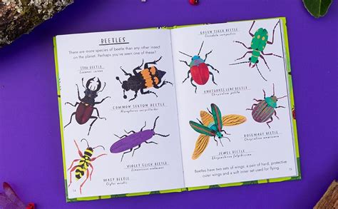 Hello Bugs A Little Guide To Nature Chakrabarti Nina 9781510230507